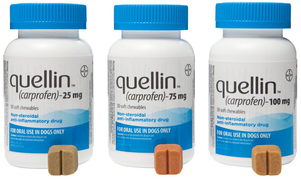 Quellin (Carprofen) Soft Chewables | On Sale | EntirelyPets Rx