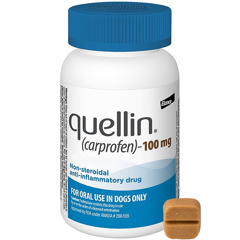 Quellin for Dogs - 100mg (60 Soft Chewables) - [Pain & Inflammation ...
