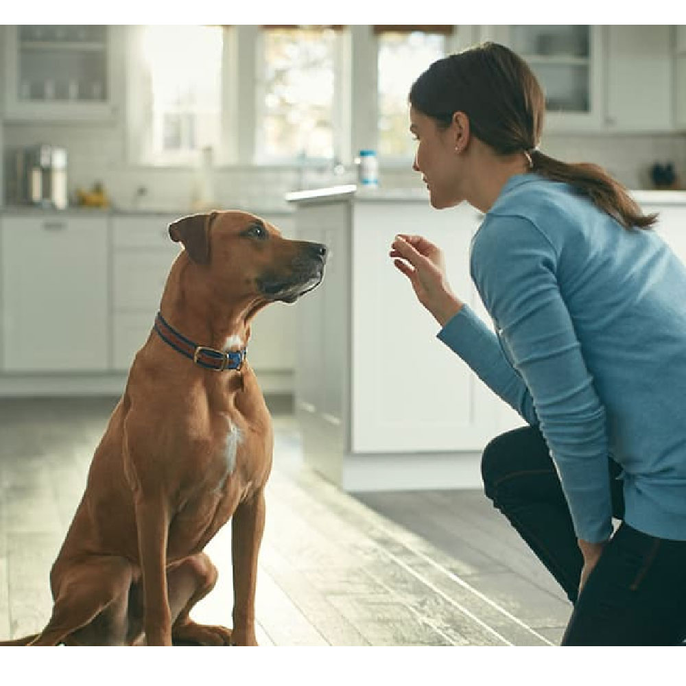 Quellin Soft Chewables 100mg (30 ct) | On Sale | EntirelyPets Rx