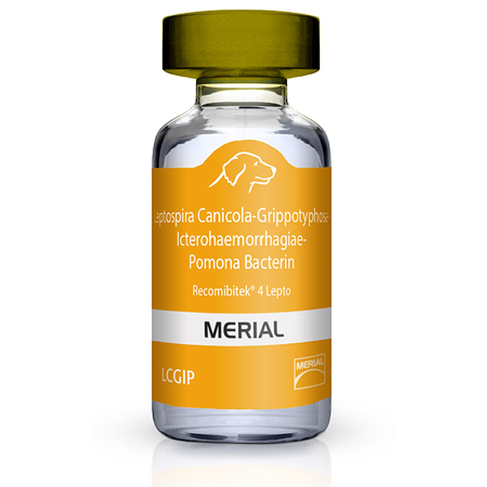 Recombitek for Dogs - 4 Lepto (LCGIP), 50x1 dose - [Vaccine] | On Sale ...