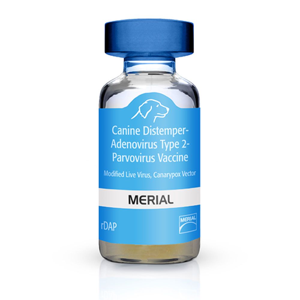 Recombitek C3 (rDAP), 25x1 dose | On Sale | EntirelyPets Rx