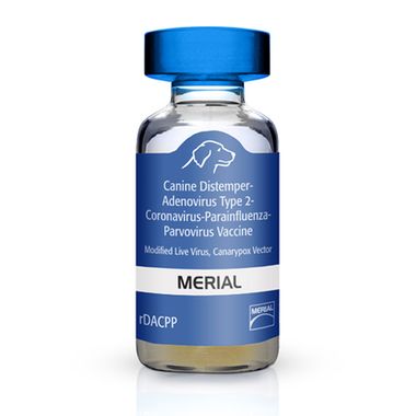 Recombitek C4/CV (rDAPP), 25x1 dose | On Sale | EntirelyPets Rx