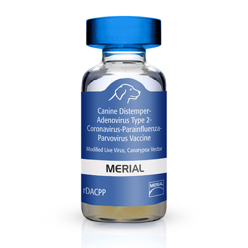 Recombitek for Dogs - C4/CV (rDAPP), 25x1 dose - [Vaccine] | On Sale ...