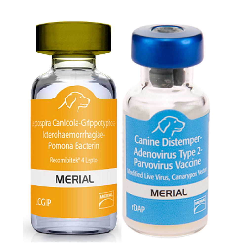 Recombitek C7 (rDAP-LCGIP), 25x1 dose | On Sale | EntirelyPets Rx