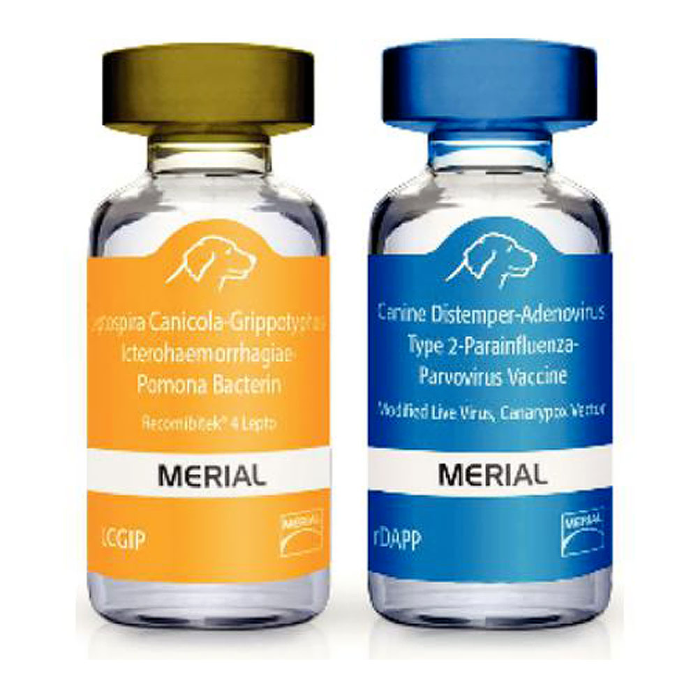 Recombitek C8 (rDAPP-LCGIP), 25x1 dose | On Sale | EntirelyPets Rx