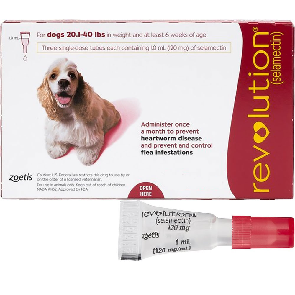 Can Revolution For Dogs Cause Diarrhea