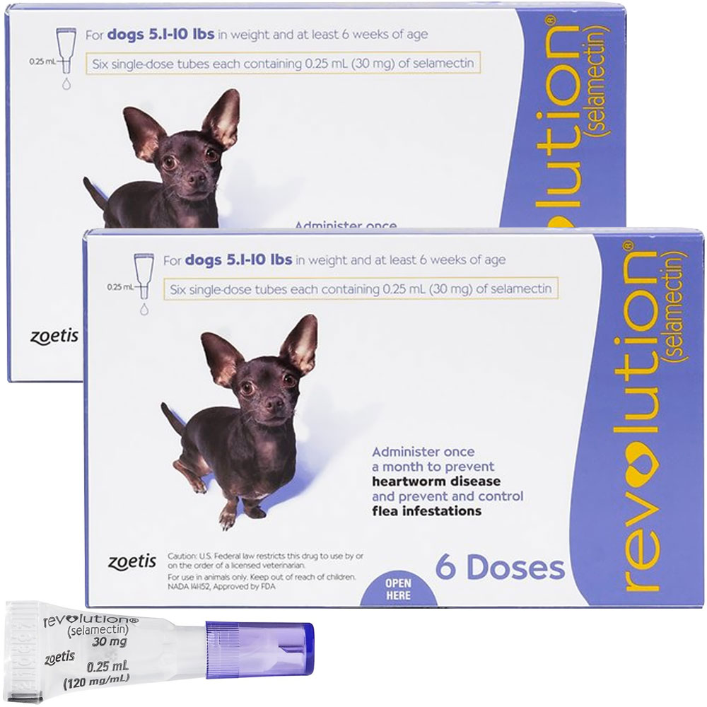 Revolution for Dogs, 5.1-10 lbs (12 Doses) | On Sale | EntirelyPets Rx