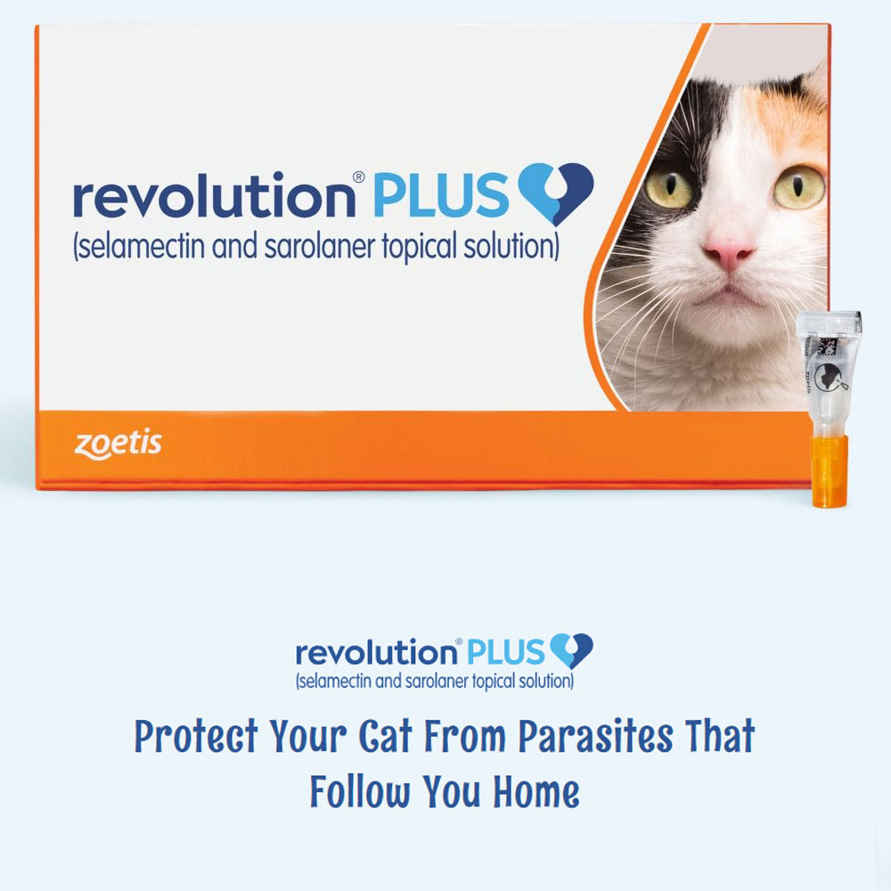 Revolution Plus Gold for Cats 2.8 to 5.5 lb (3 month) | On Sale ...