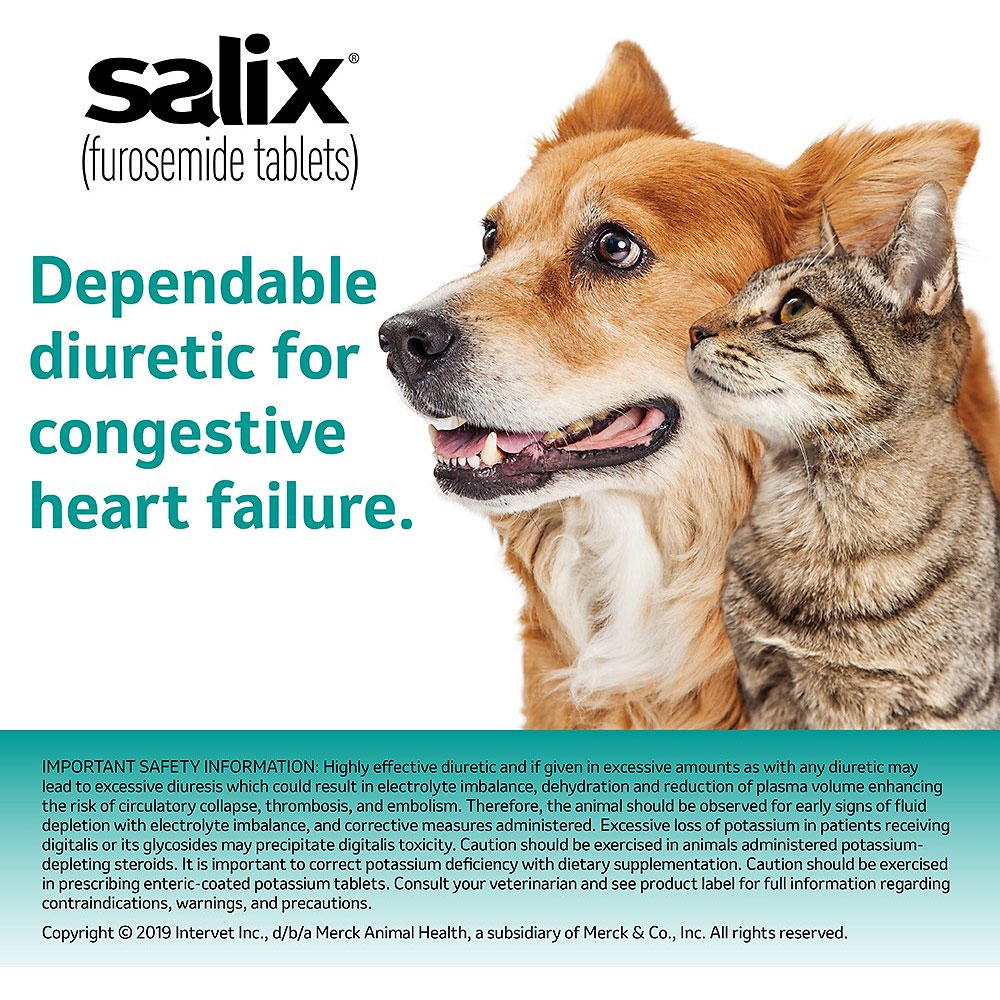 Salix (Furosemide) 12.5 mg | Free Shipping | EntirelyPets Rx