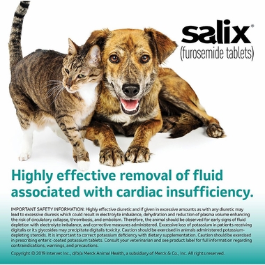 Salix (Furosemide) 12.5 mg | Free Shipping | EntirelyPets Rx