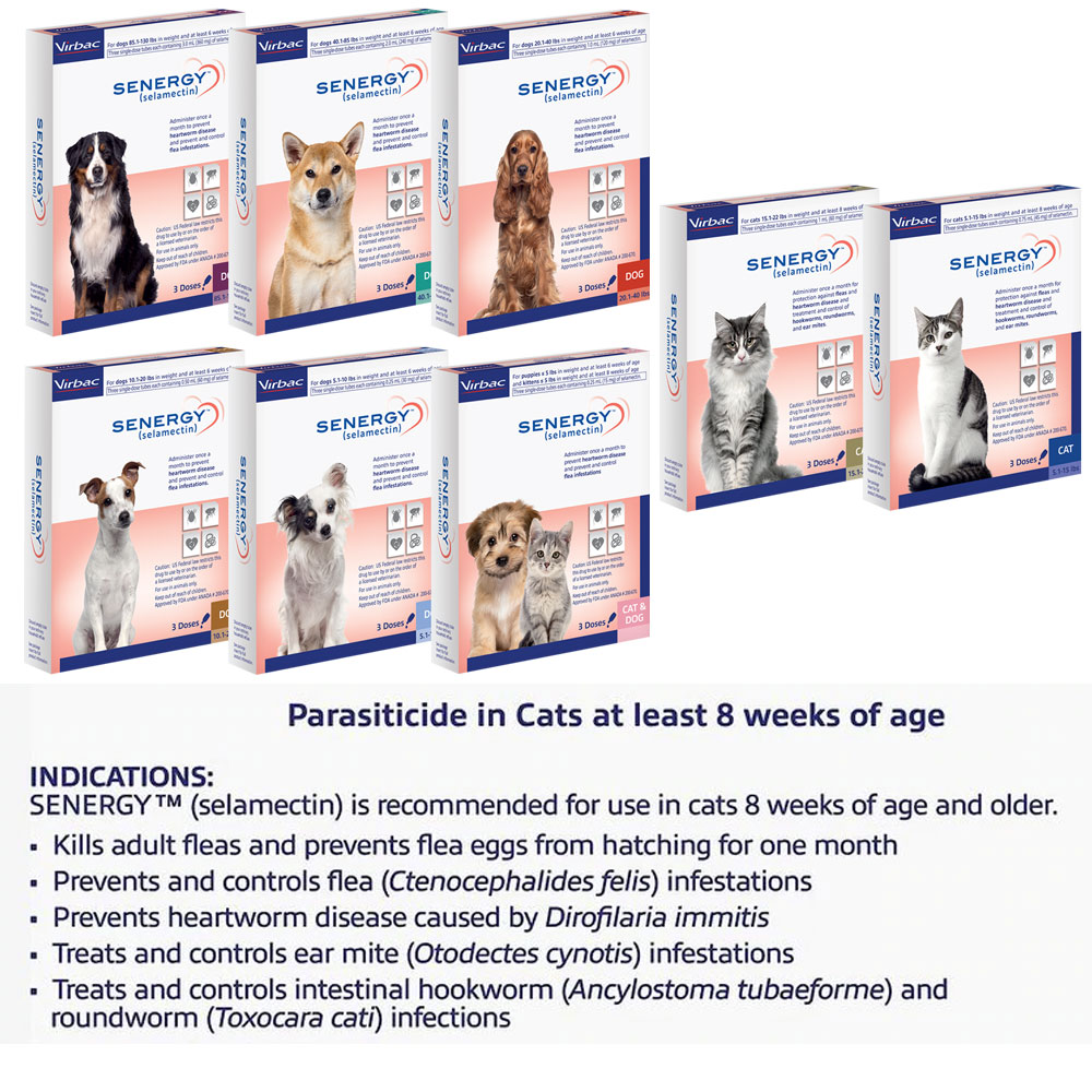 Senergy (selamectin) Topical Parasiticide for Cats 5.1 to 15 lbs (1 ...