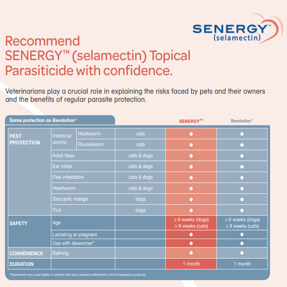 Senergy (selamectin) Topical Parasiticide for Cats 5.1 to 15 lbs (1 ...