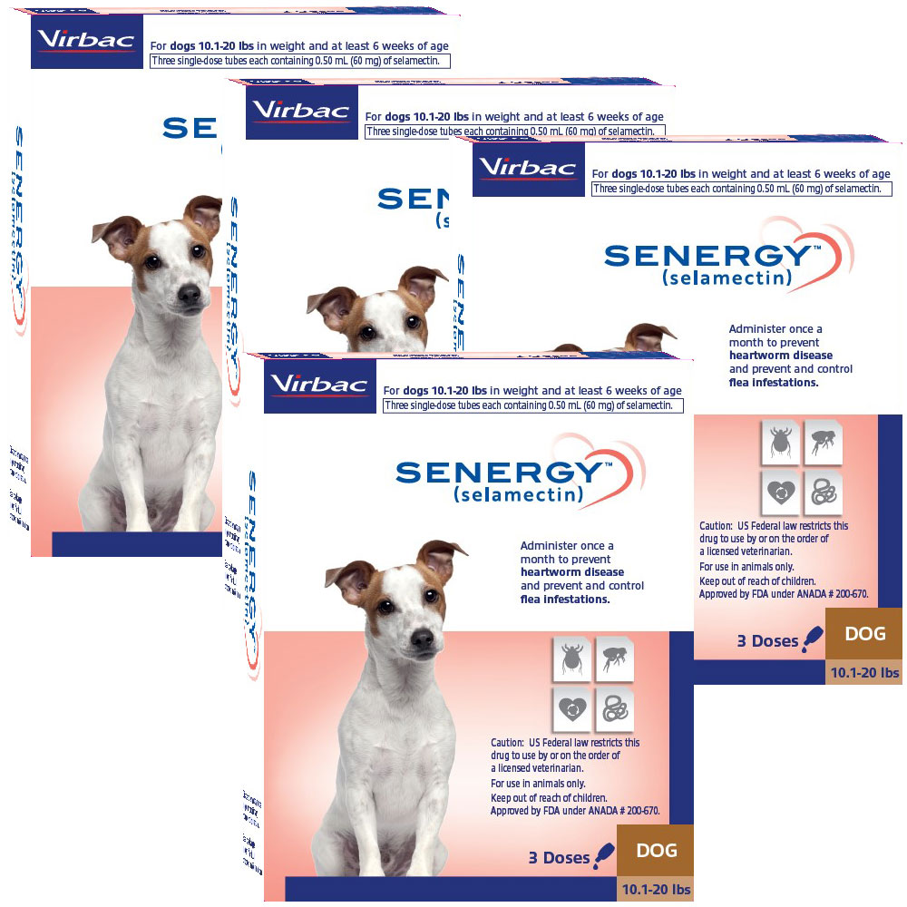 Senergy (selamectin) Topical Parasiticide for Dogs 10.1 to 20 lbs Small ...