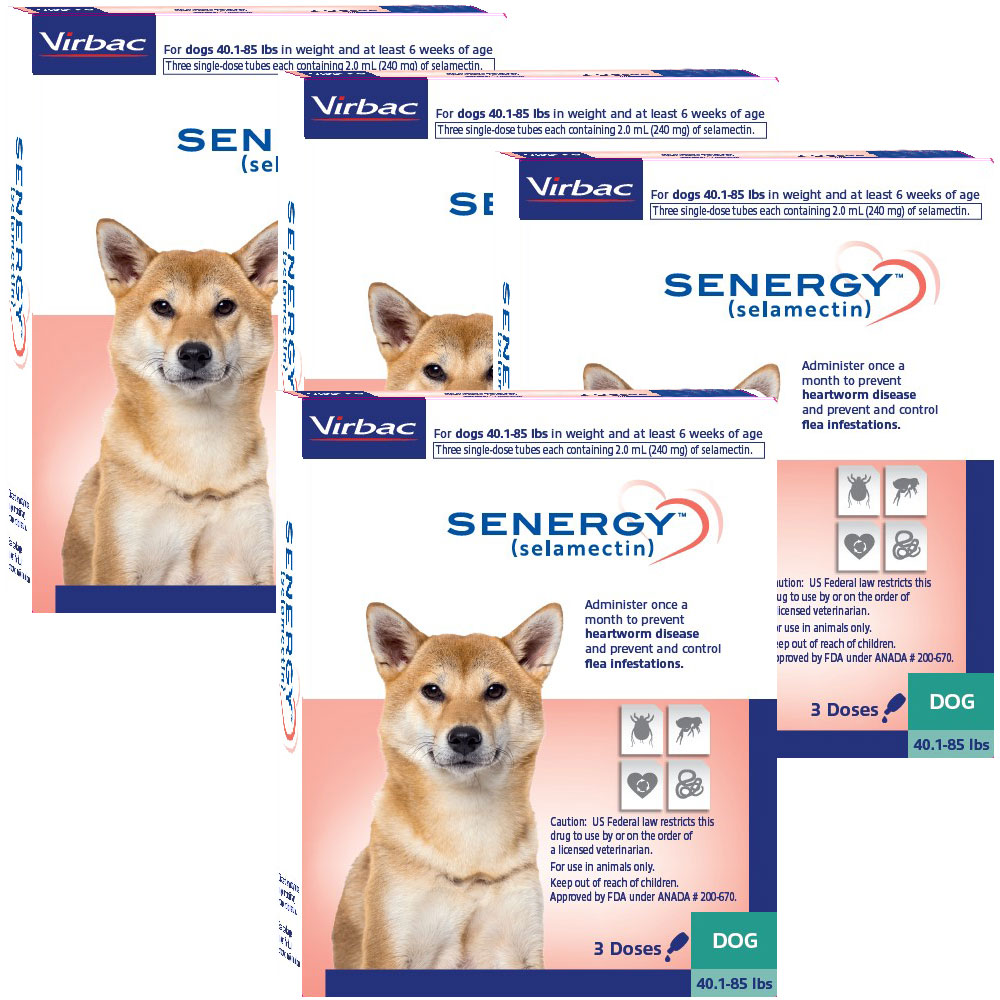 Senergy (selamectin) Topical Parasiticide for Dogs 40.1 to 85 lbs Large ...