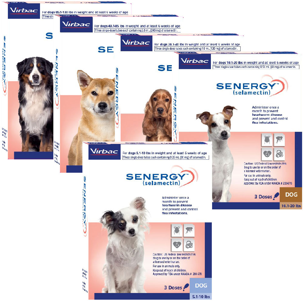 Senergy (selamectin) Topical Parasiticide for Dogs & Cats | On Sale ...