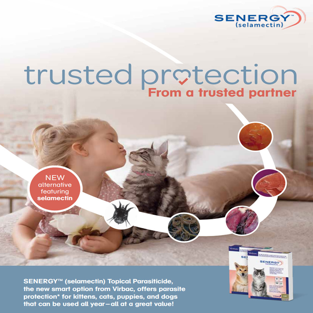 Senergy (selamectin) Topical Parasiticide for Kitten and Puppy Up to 5 ...