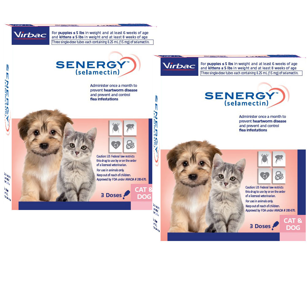 Senergy (selamectin) Topical Parasiticide for Kitten and Puppy Up to 5 ...