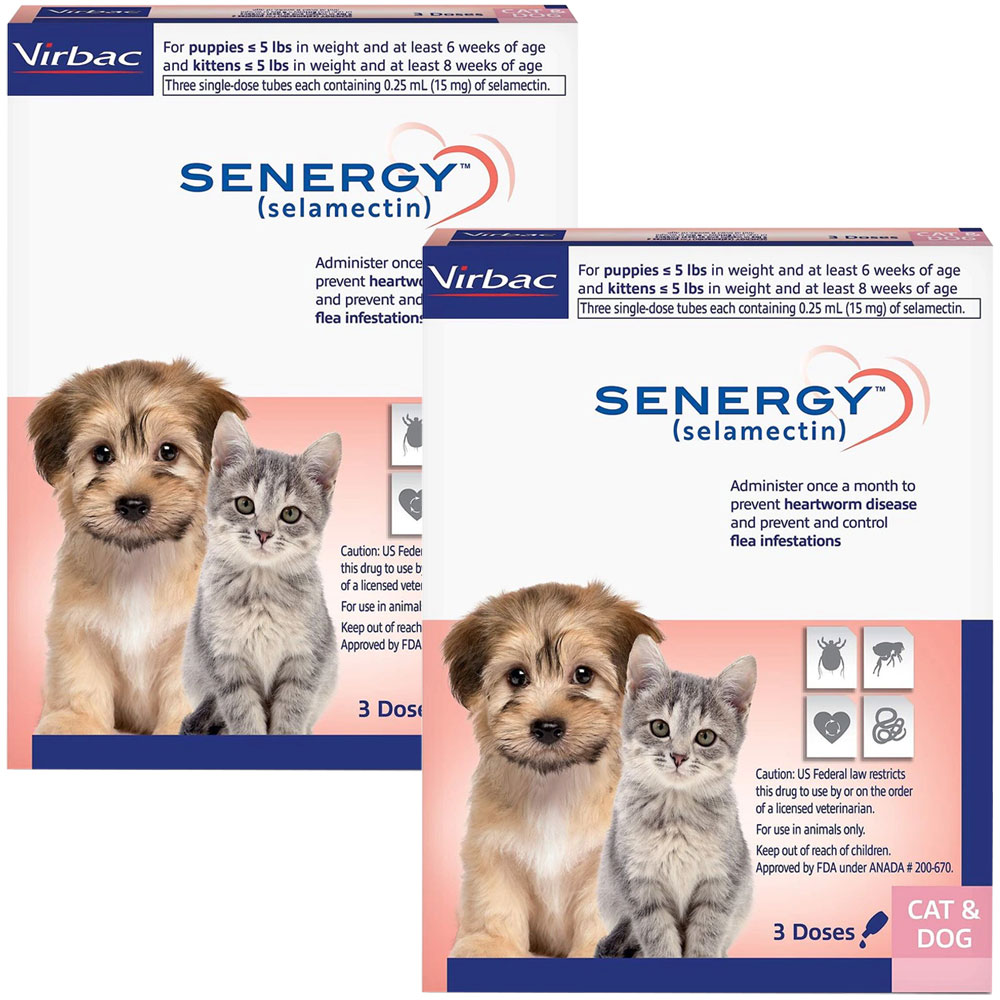 Senergy (selamectin) Topical Parasiticide for Kitten and Puppy Up to 5 ...