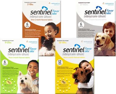 Sentinel for Dogs | Free Shipping | EntirelyPets Rx