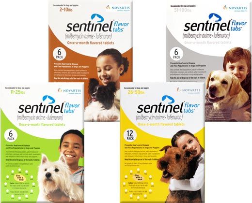 Sentinel for Dogs | Free Shipping | EntirelyPets Rx