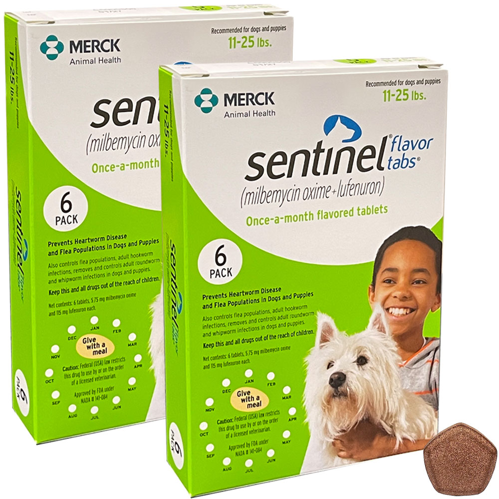 Can You Give Sentinel To Pregnant Dogs