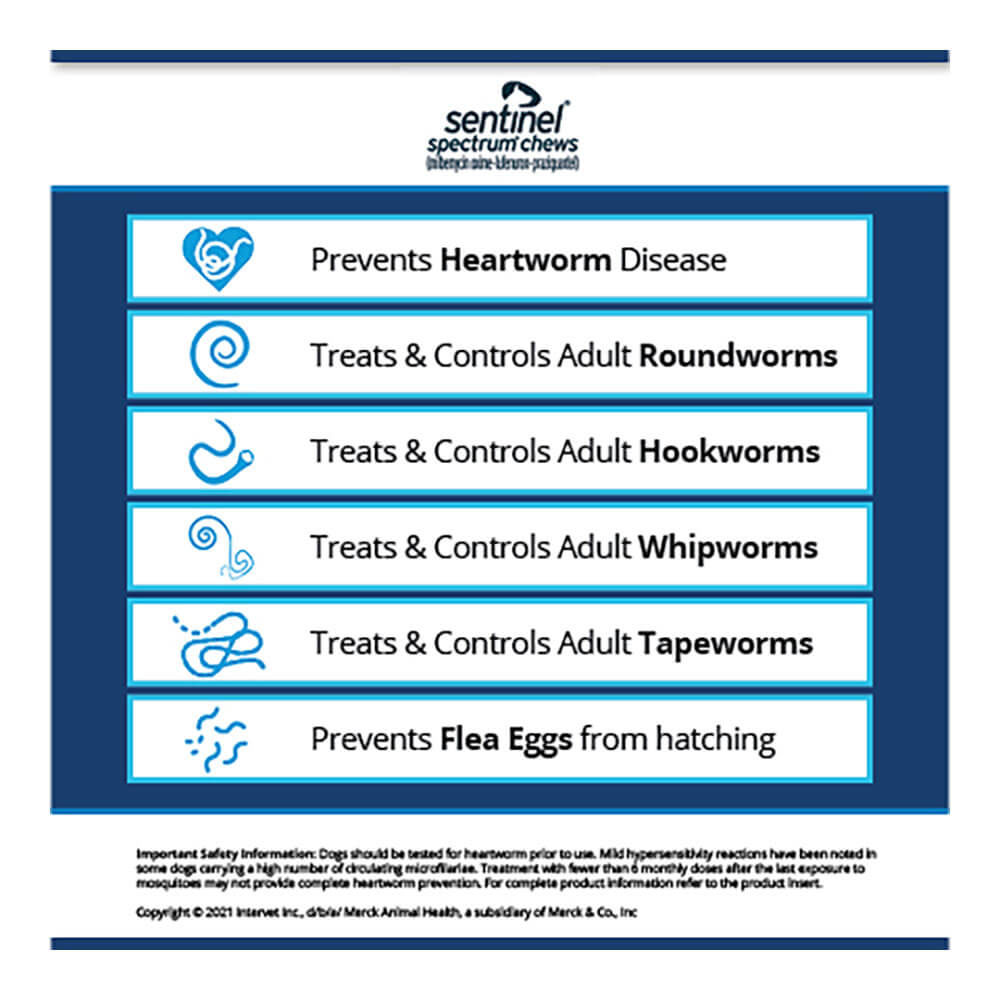Sentinel Flavor Tabs for Dogs 26-50 lbs, 6 Ct - EntirelyPets Rx