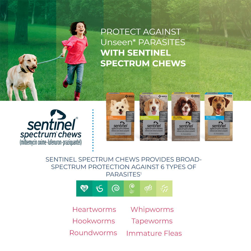 Sentinel Spectrum for Dogs - milbemycin oxime|lefenurin|praziquantel ...