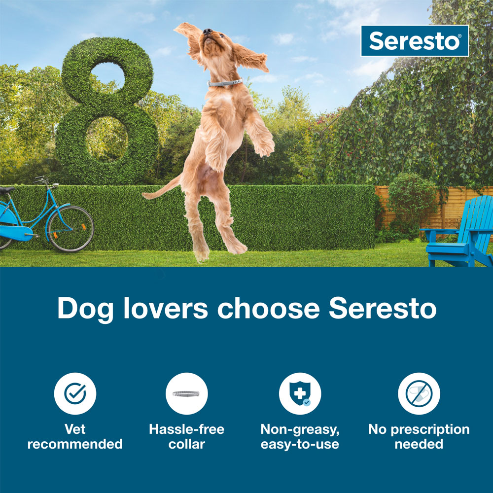 Seresto Collar for Small Dogs | Free Shipping | EP Rx