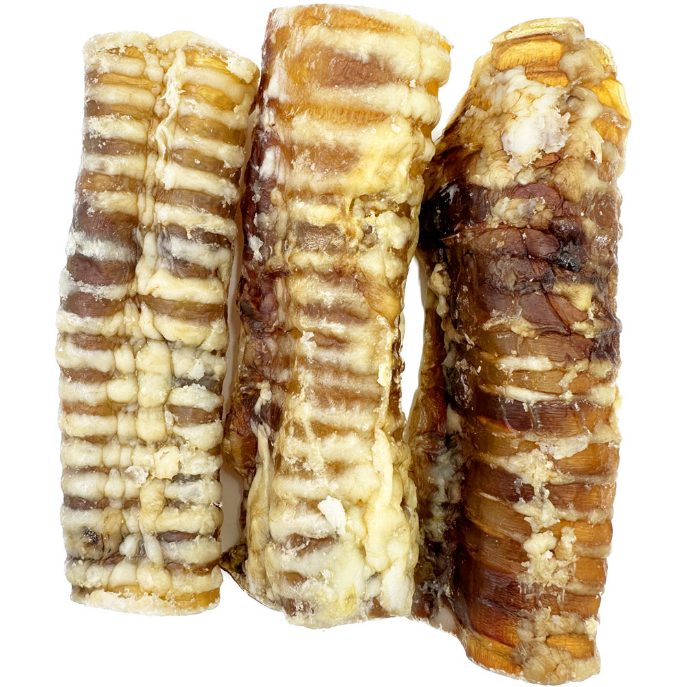 Spizzles Beef Trachea 6" (3-PACK) | On Sale | EntirelyPets Rx