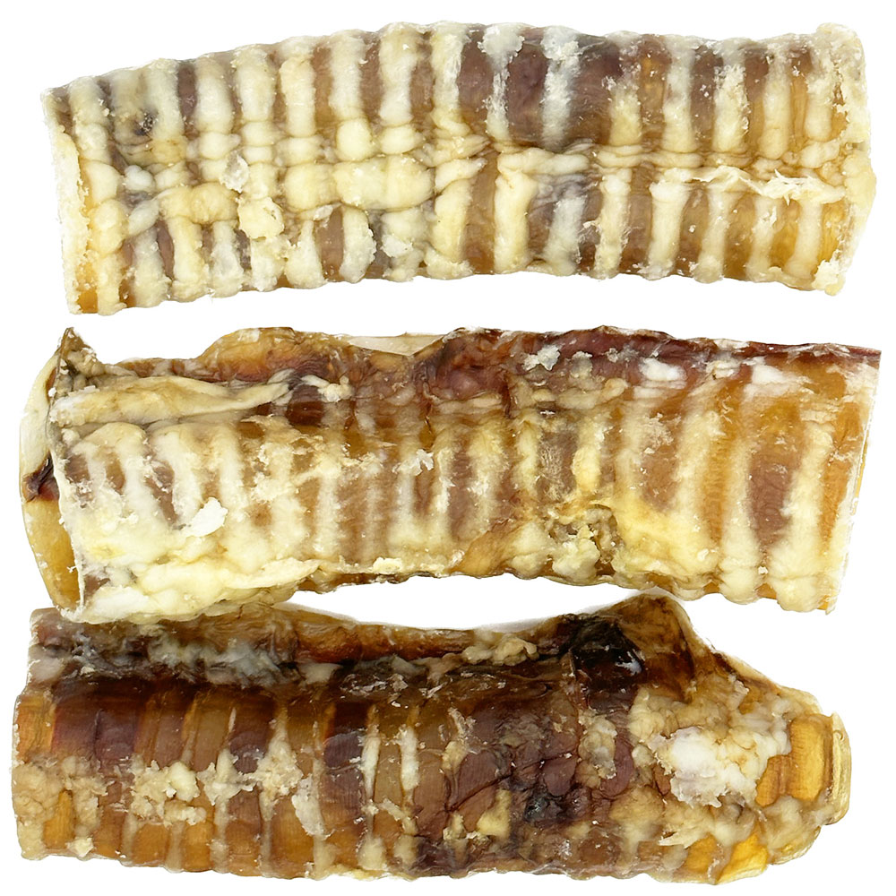 Spizzles Beef Trachea 6" (Single) | On Sale | EntirelyPets Rx
