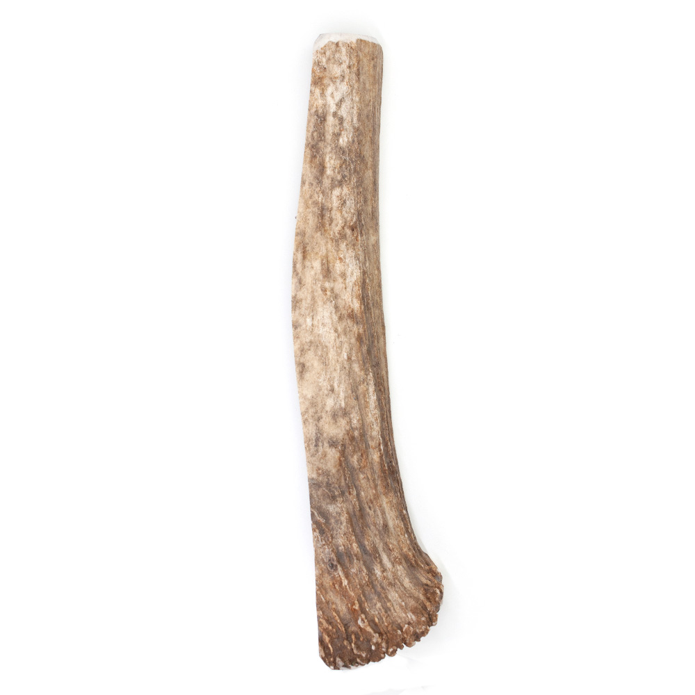 Spizzles Elk Antler Dog Chew - Split (Jumbo) 9" | On Sale | EntirelyPets Rx