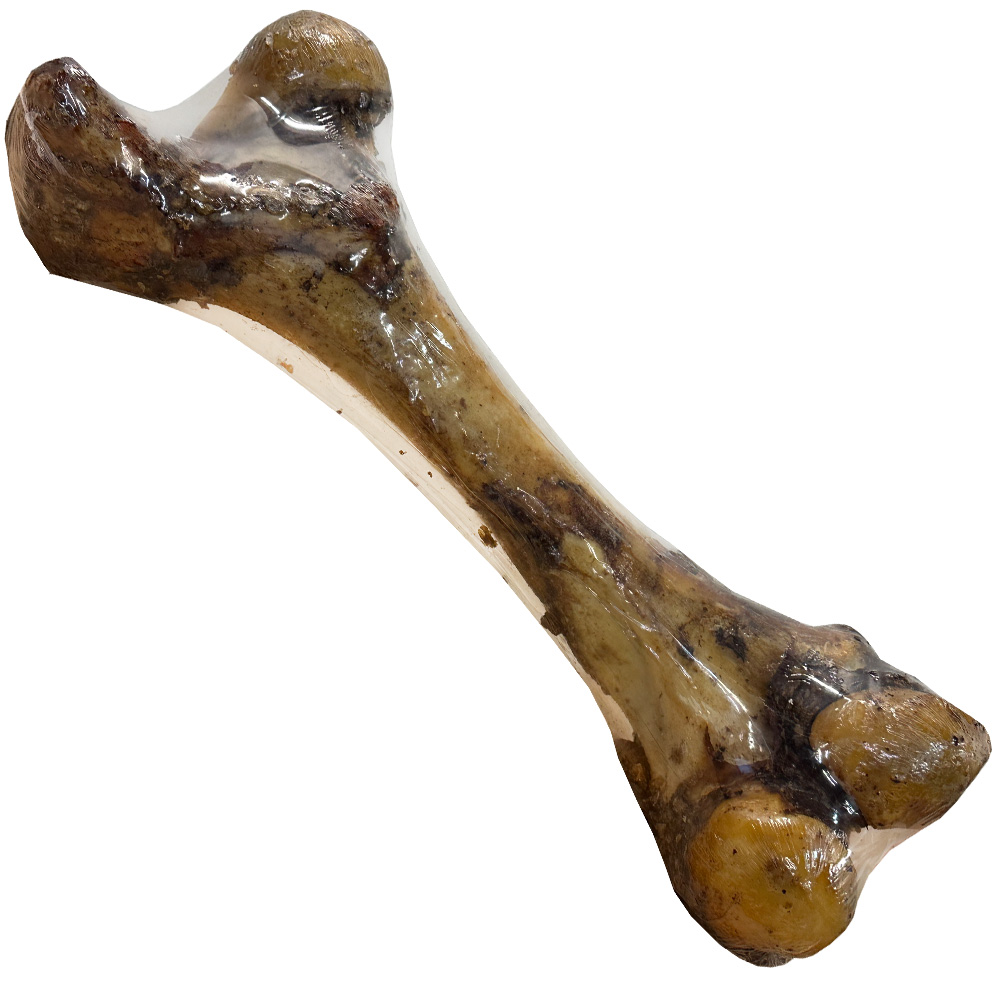 Spizzles Meaty Dino Bones (15-18") | On Sale | EntirelyPets Rx