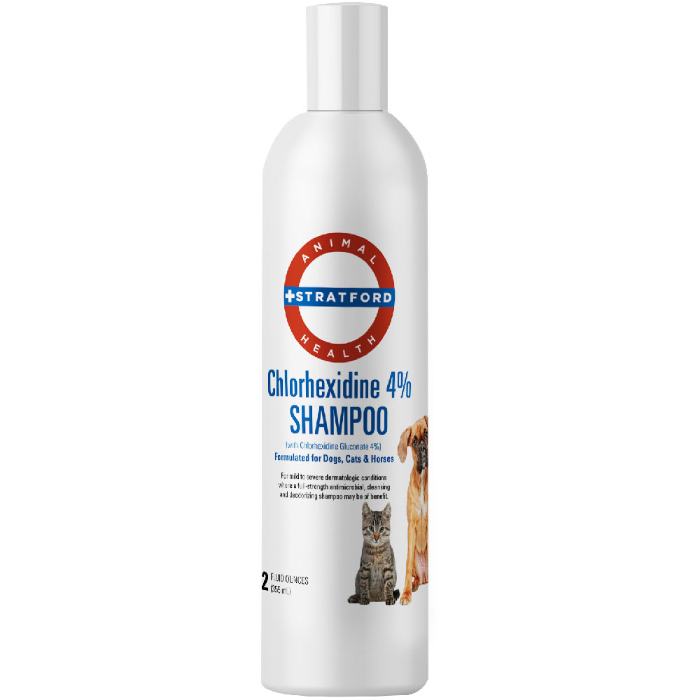 Stratford Chlorhexidine 4% Shampoo (12 oz) | On Sale | EntirelyPets Rx
