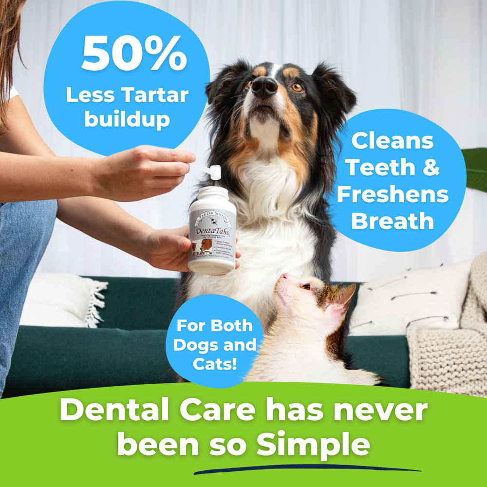 Tartar Shield DentaTabs Dissolving Powder (3-Month Supply) | On Sale ...