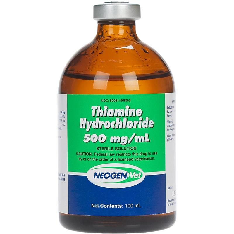 Thiamine HCl Inj 500 mg/mL (100 ml) | On Sale | EntirelyPets Rx