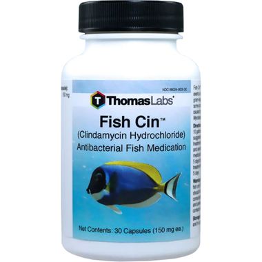 Fish Doxy Doxycycline 100 Mg Tablets (100 Count), 59% OFF