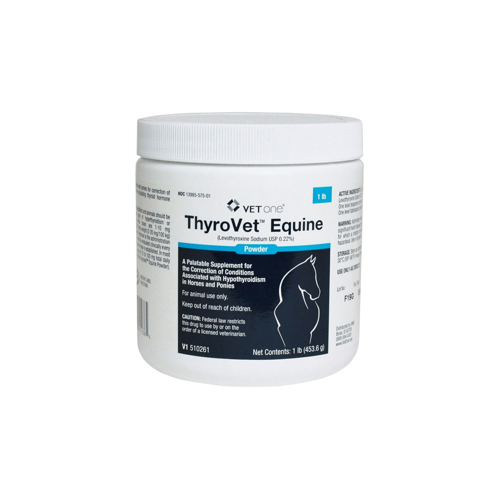 ThyroVet Equine (Levothyroxine Sodium 0.22%) Powder (1 lb) - [Thyroid ...