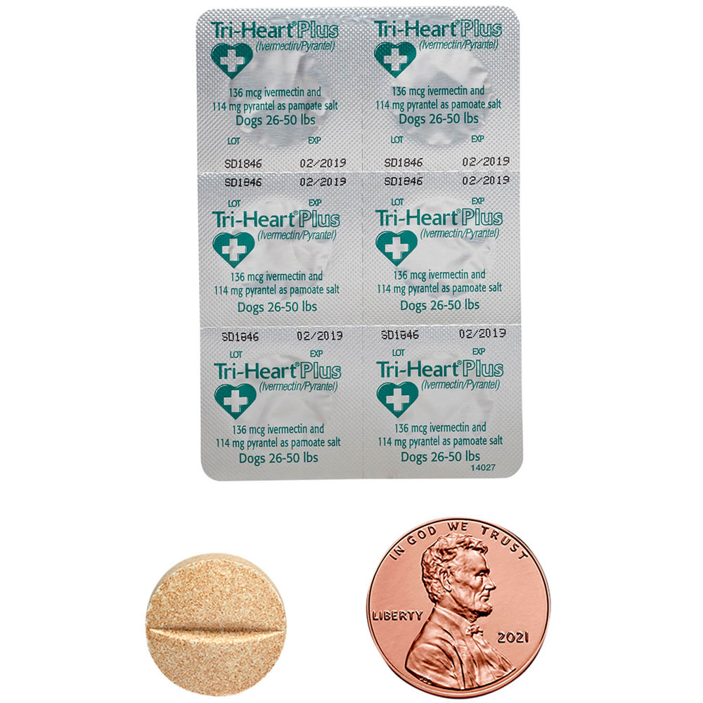 Tri-Heart Plus for Dogs - ivermectin|pyrantel - 26-50 lbs (12 Chewable ...