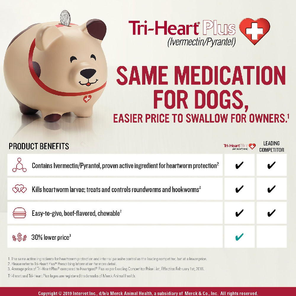 Tri-Heart Plus for Dogs 51-100 lbs (1 Chew Tab) | On Sale | EntirelyPets Rx