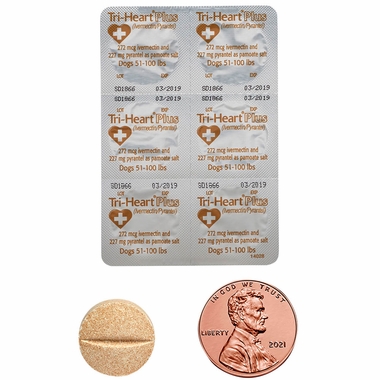 Tri-Heart Plus for Dogs - ivermectin|pyrantel - 51-100 lbs (6 Chewable ...