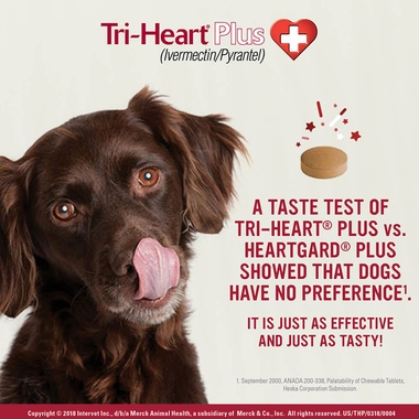 Tri-Heart Plus for Dogs - ivermectin|pyrantel - 51-100 lbs (6 Chewable ...