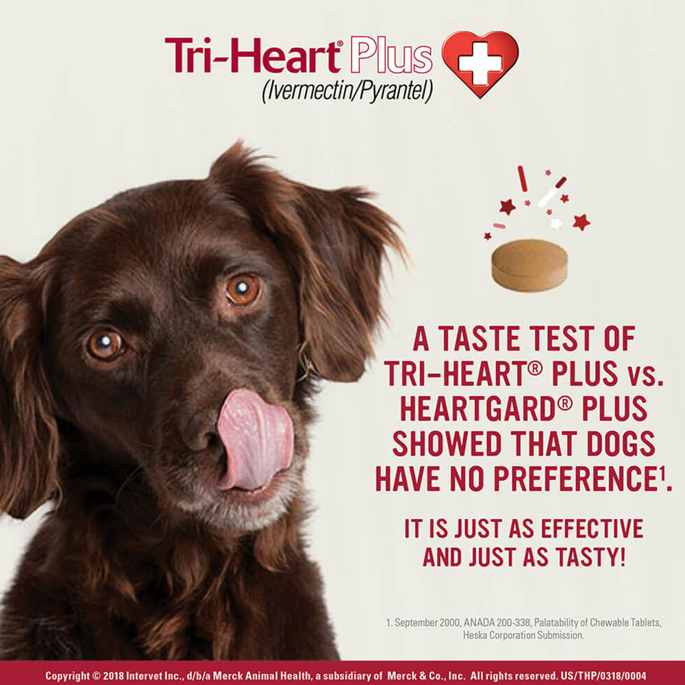 Tri-Heart Plus for Dogs - ivermectin|pyrantel - 51-100 lbs (6 Chewable ...