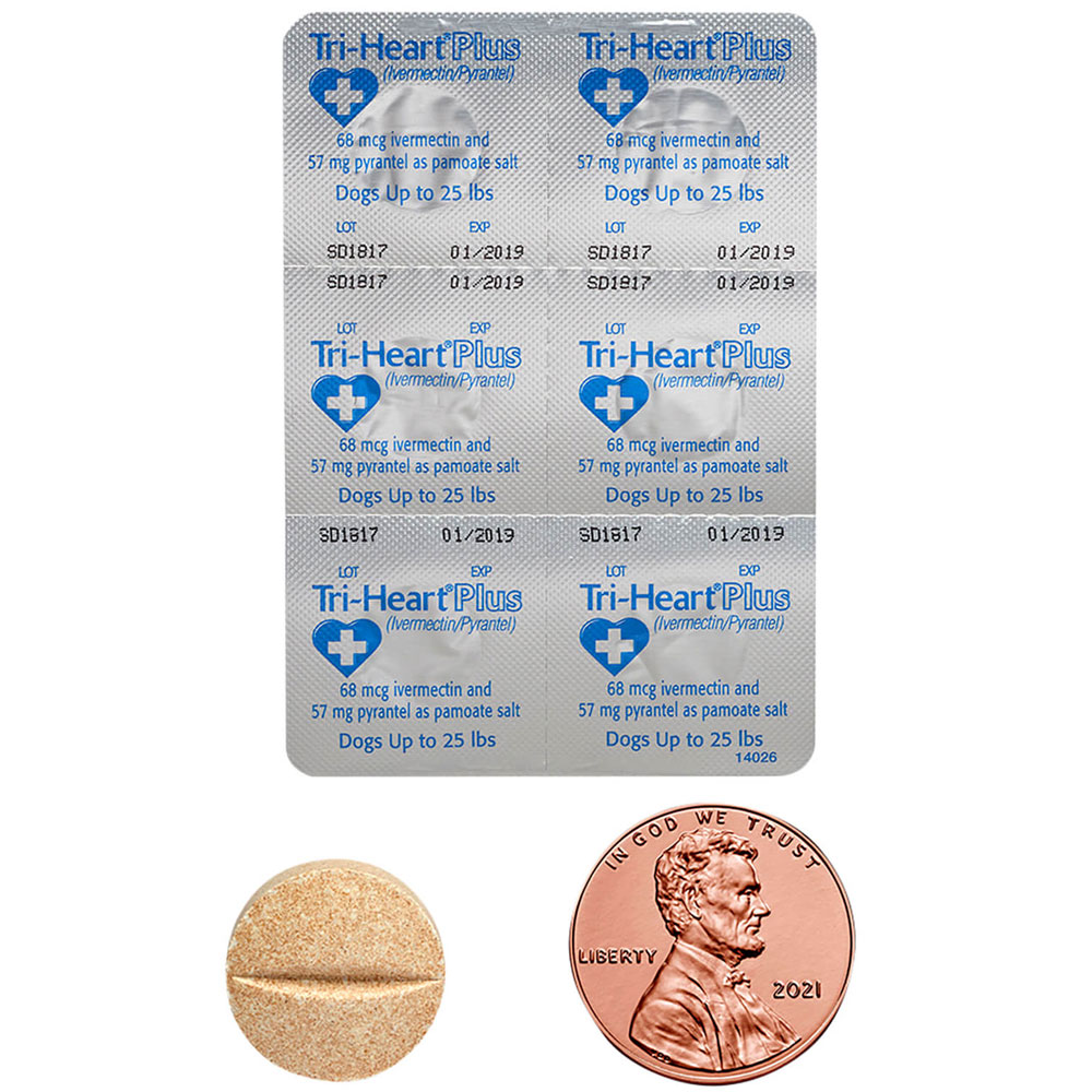 Tri-Heart Plus for Dogs - ivermectin|pyrantel - up to 25 lbs (6 ...