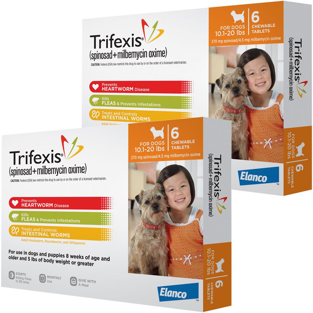 When Can Puppies Start Trifexis