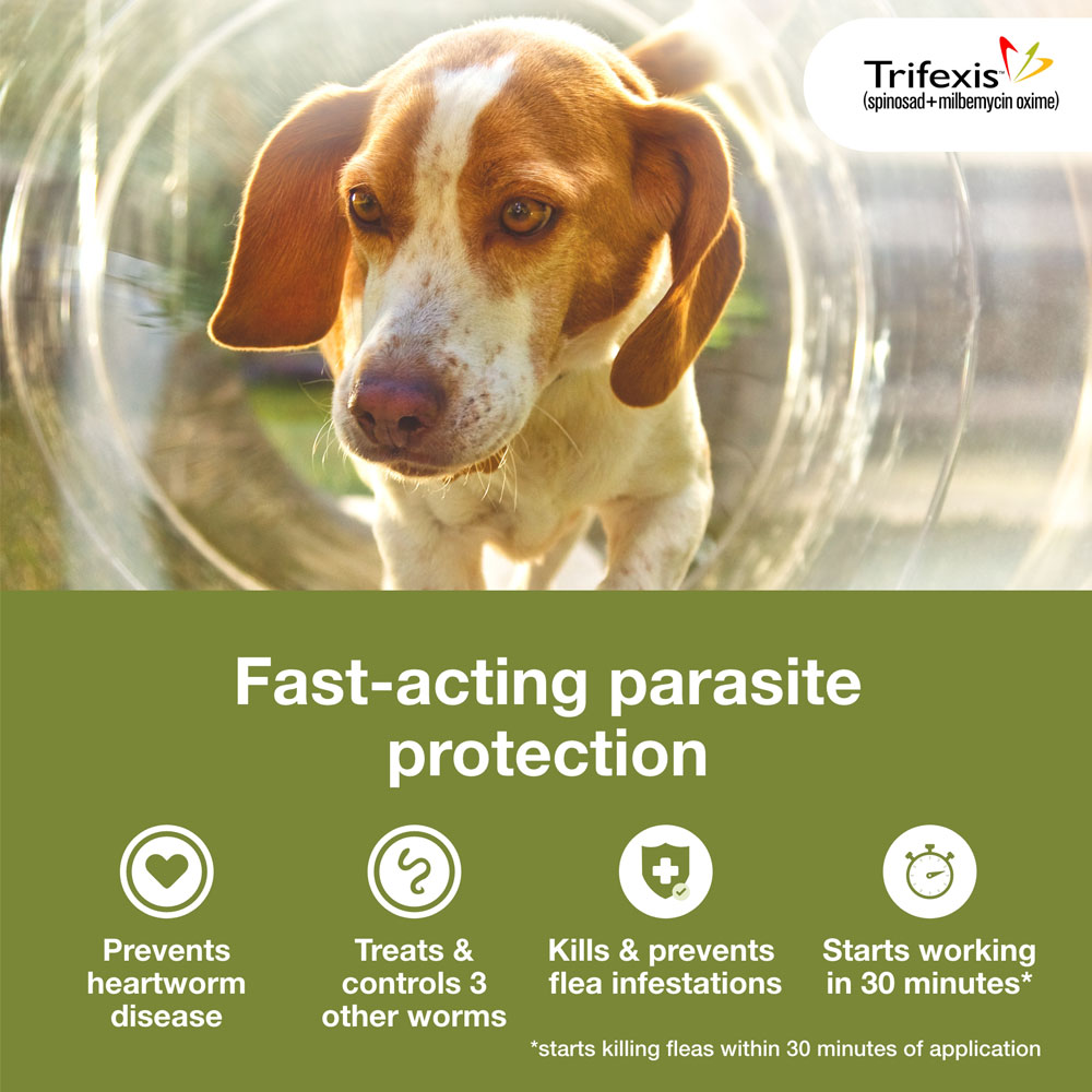 Trifexis 10.1-20 lbs for Dogs, 12 Chewable Tablets