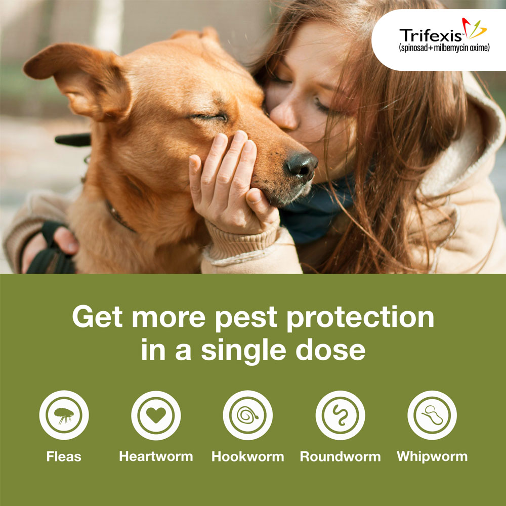 Trifexis 20.1-40 lbs for Dogs, 6 Chewable Tablets