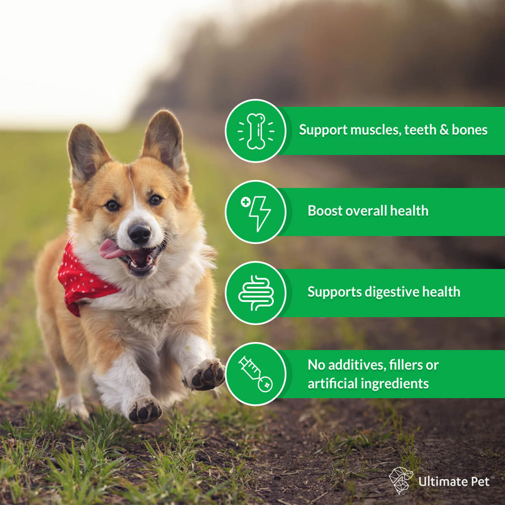 Ultimate Pet Nutrition Canine Boost Multivitamin Powder Supplement for ...