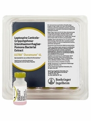 Vaccines | On Sale | EntirelyPets Rx