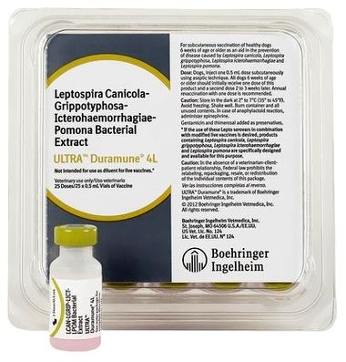 Ultra Duramune 4L (25 Doses) | On Sale | EntirelyPets Rx