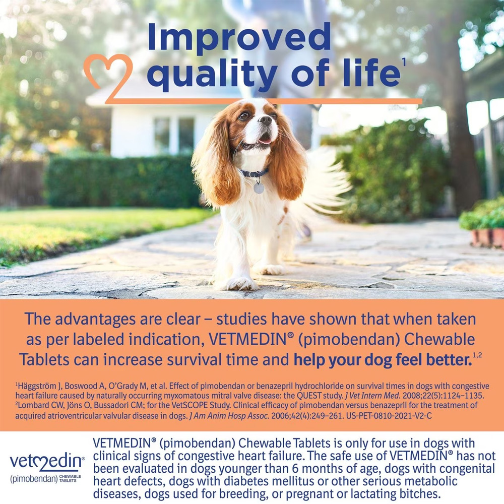 Vetmedin 1.25 mg (30 Tablets) | On Sale | EntirelyPets Rx